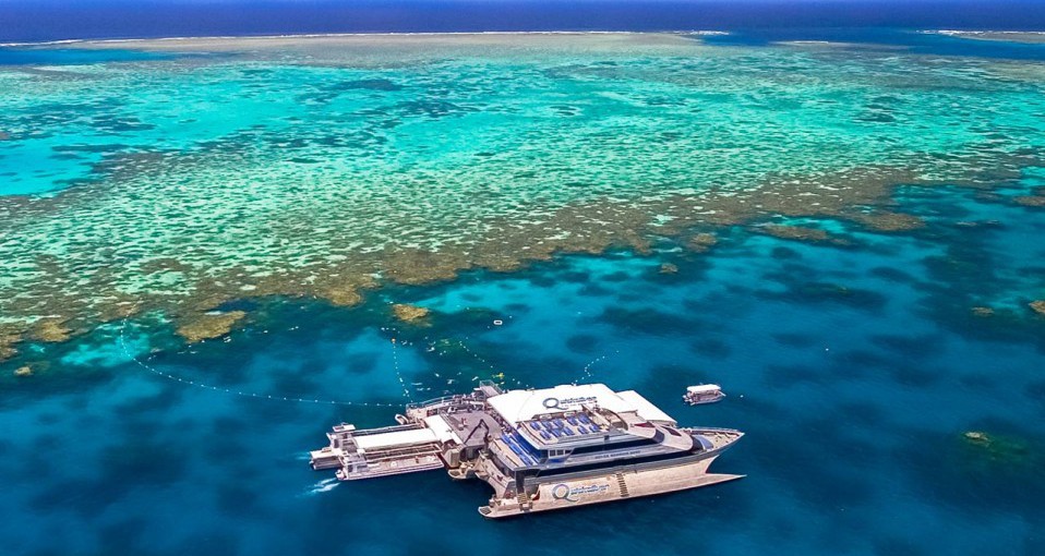 Cairns Outer Reef Tours | Everything Cairns